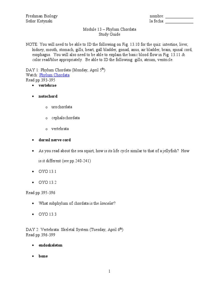 Module 13 Study Guide - Phylum Chordata | PDF | Fish | Skeleton
