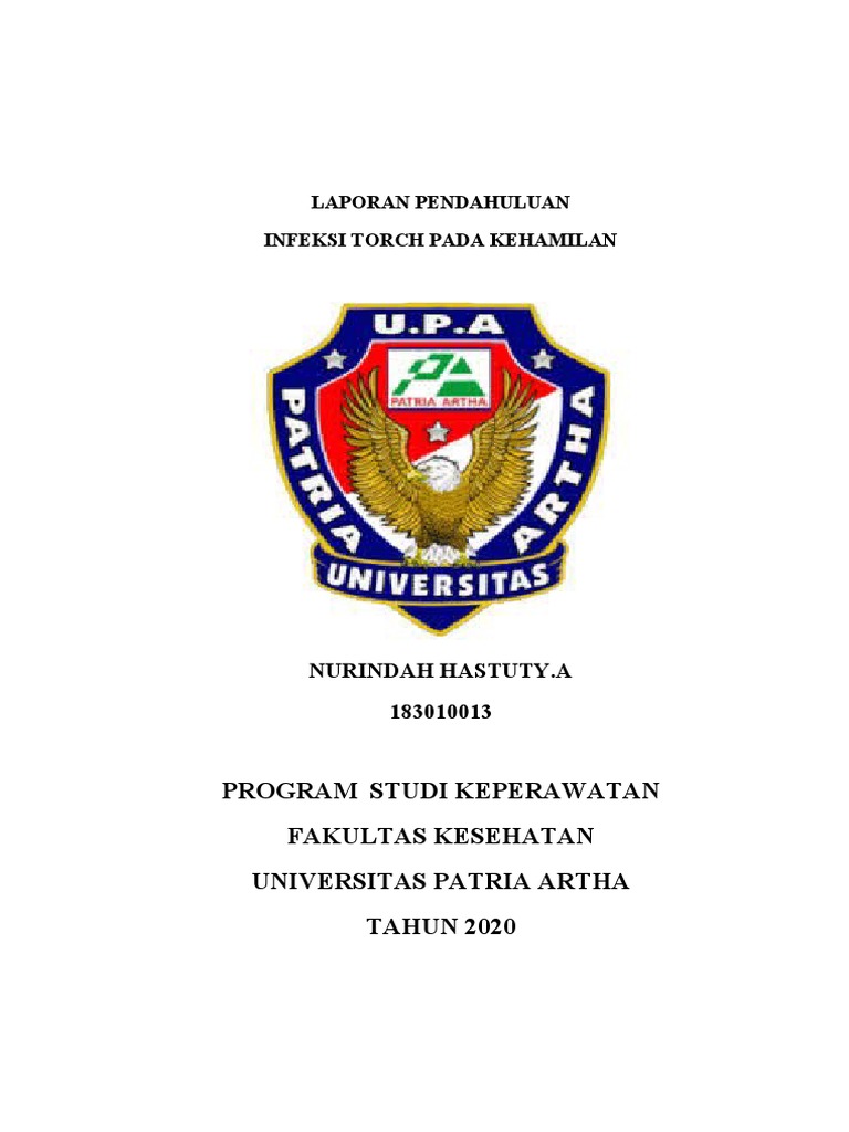 LP Infeksi Torch Pada Kehamilan | PDF