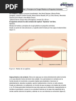Principios Quirúrgicos de Halsted | PDF | Cirugía | Esterilización ...