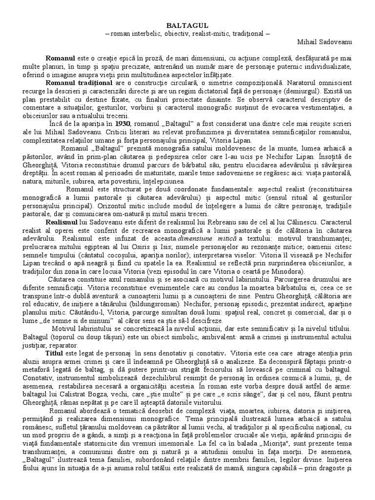 Baltagul Comentariu | PDF