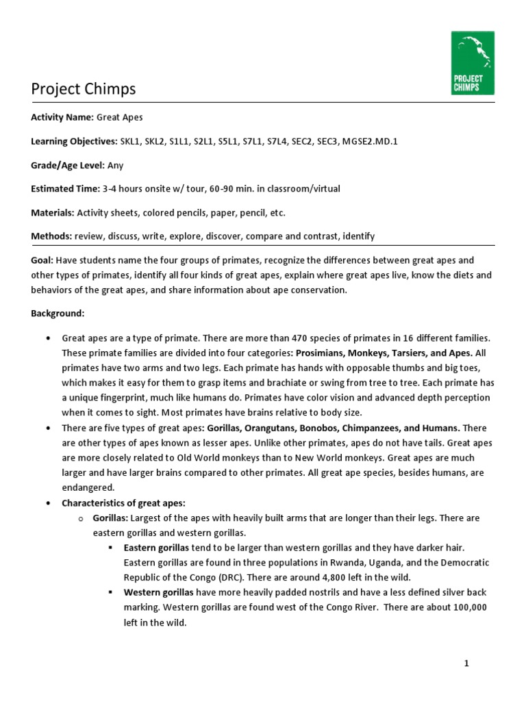 Great Apes Lesson Plan | Download Free PDF | Chimpanzee | Gorilla