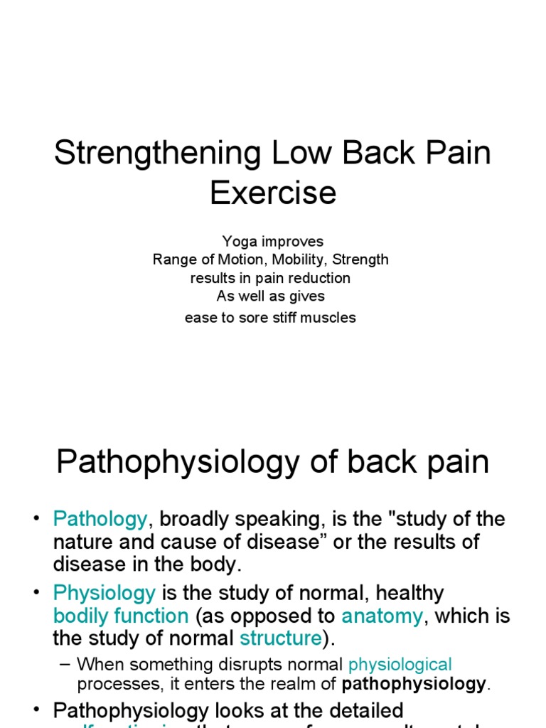 Strengthening Low Back Pain Exercise | PDF | Vertebra | Vertebral Column