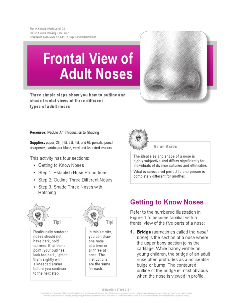 Frontal View of Adult Noses: Getting To Know Noses | PDF | Human Nose ...