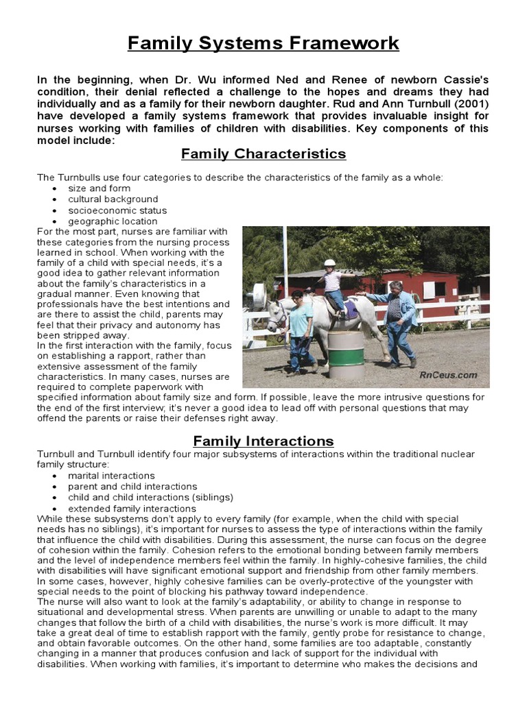 Family Systems Framework | PDF | Adolescence | Childhood