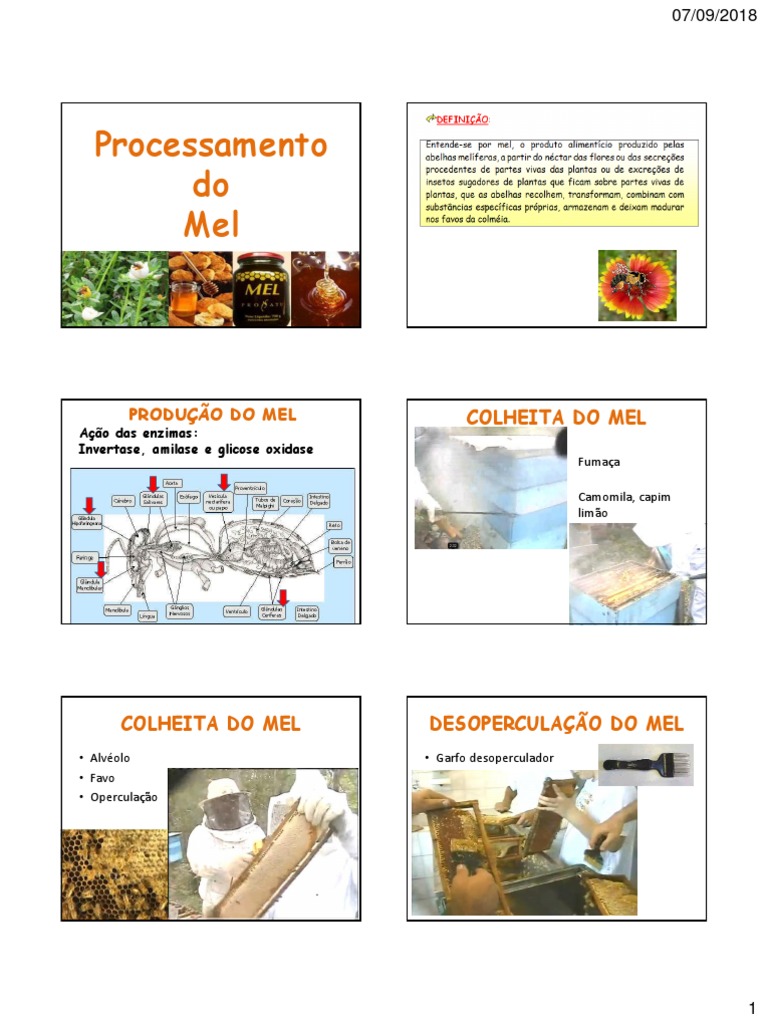 Tecnologia Do Mel | PDF | Mel | Abelhas