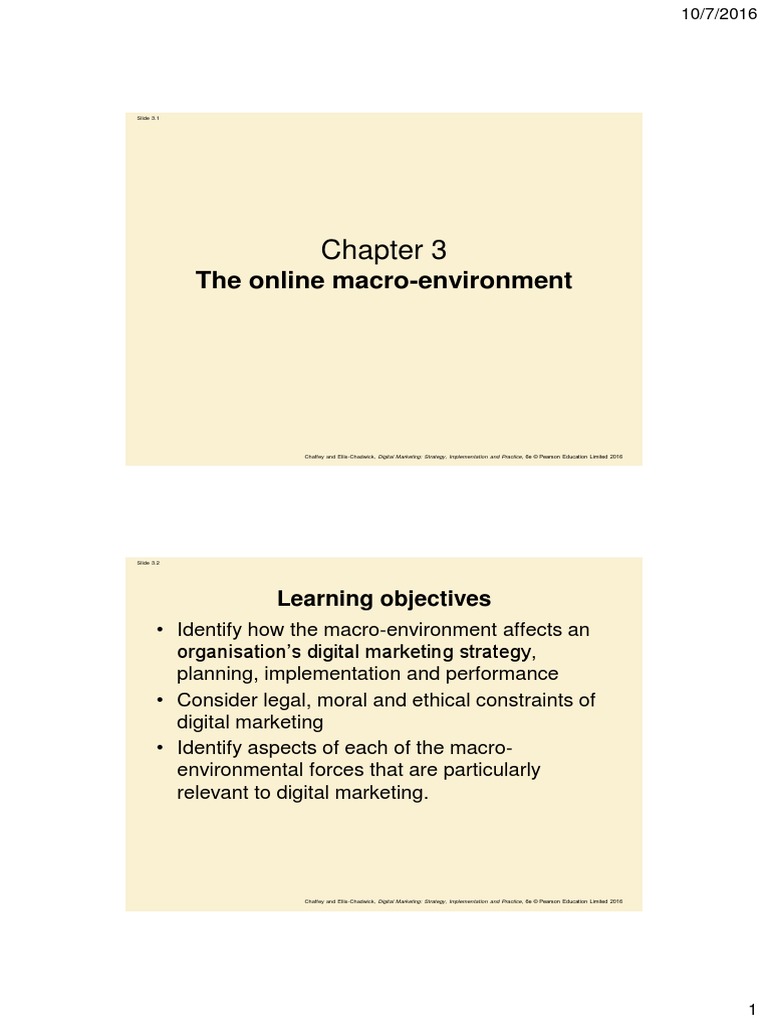 The Online Macro-Environment | PDF | Digital Marketing | Marketing Strategy