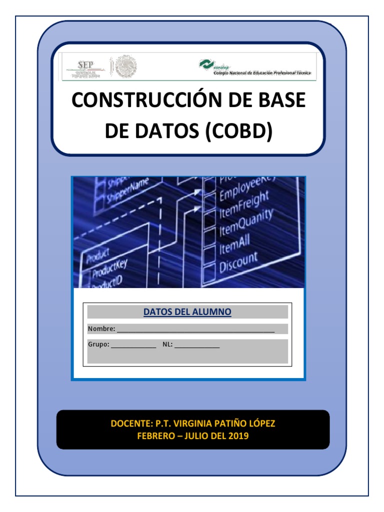 Construccion de Base de Datos Cobd Datos | PDF | Bases de datos | Base de datos relacional