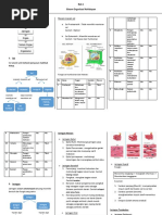 Latihan Soal Sistem Pencernaan Manusia Kelas 8 | PDF | Kesehatan Holistik