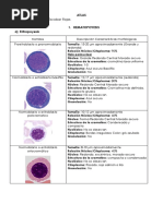 Tarjetas Grifols DG Gel-Solas | PDF | Tipo de sangre | Serología