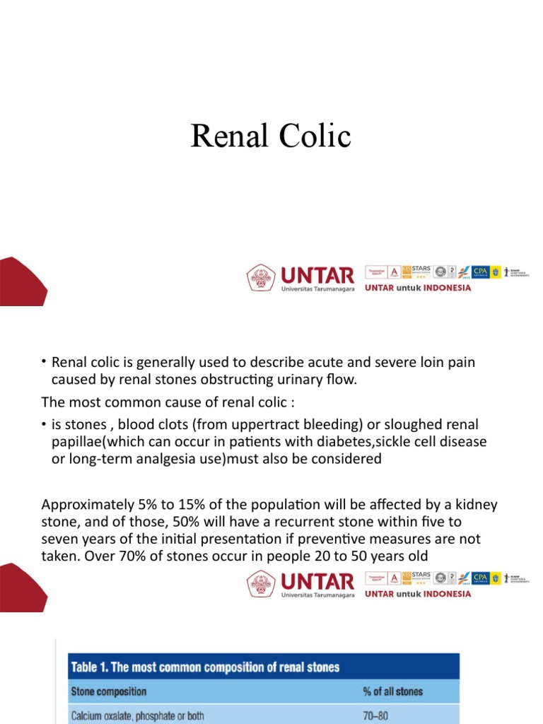 Renal Colic | PDF | Kidney | Genitourinary System