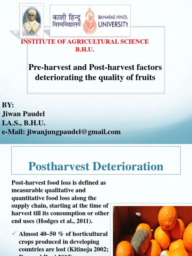 Pre-Harvest and Post-Harvest Factors Deteriorating The Quality of ...