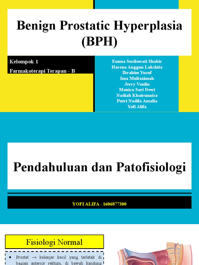 Kelas B - Kelompok 1 - BPH | PDF