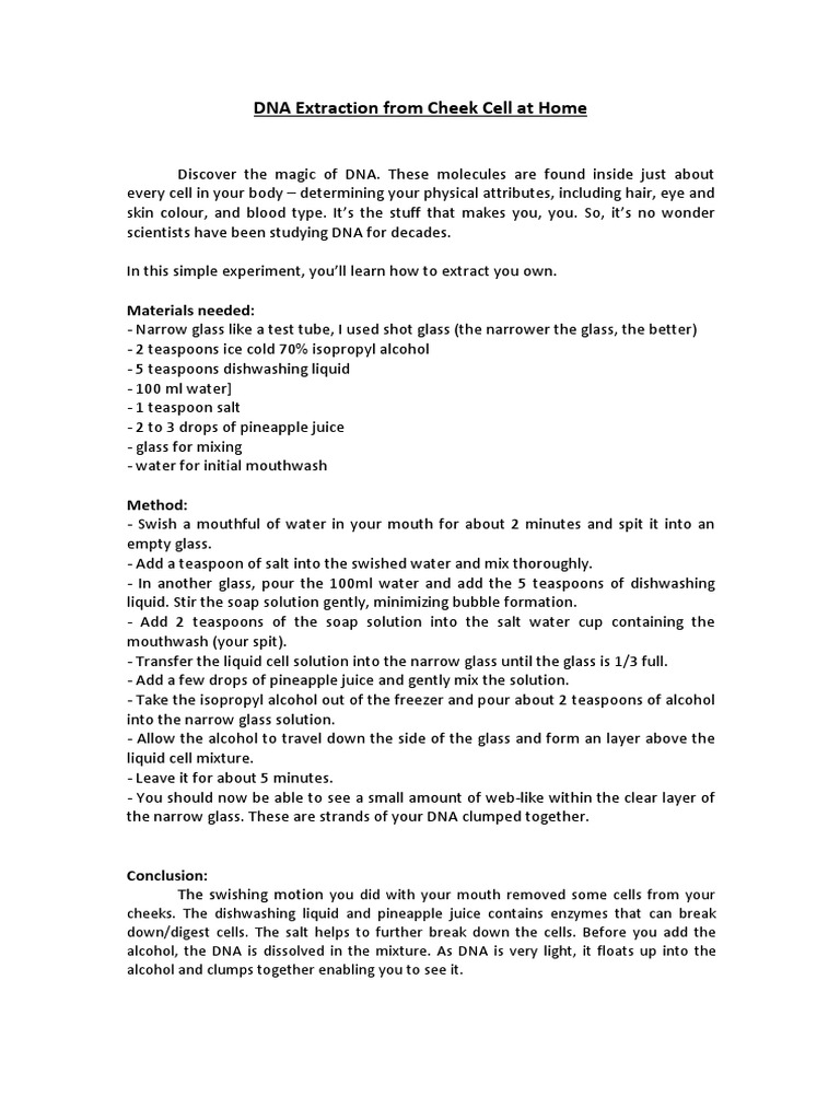 DNA Extraction From Cheek Cell at Home | PDF | Denaturation ...