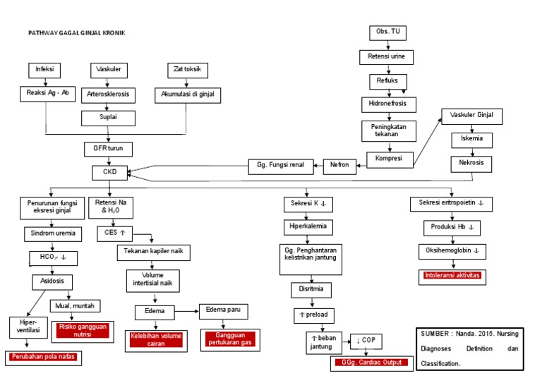 Pathway Gagal Ginjal Kronik: Intoleransi Aktivitas | PDF | Kidney | Urinary System