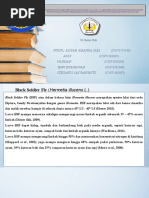 Classification Lalat BSF | PDF