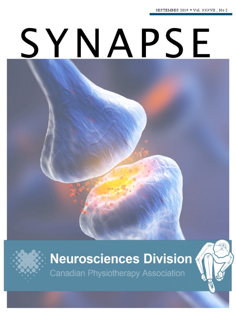 Synapse MirrorTherapyarticle Perezetal | PDF | Physical Therapy | Pain