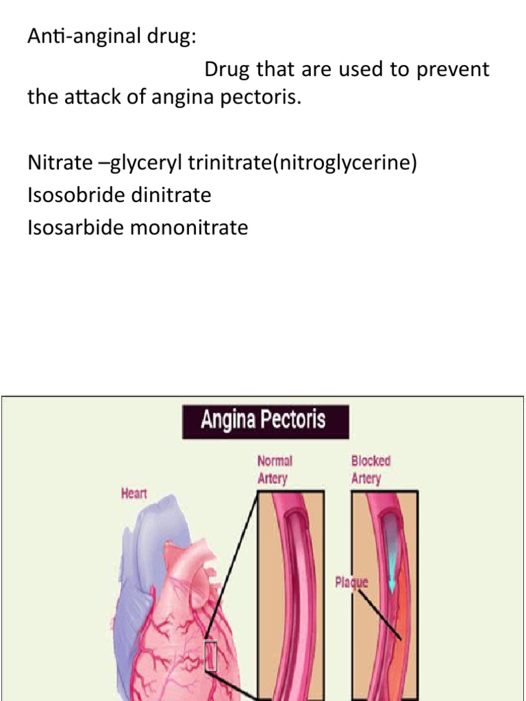 Anti-Anginal Drugs | PDF | Drugs | Medicine