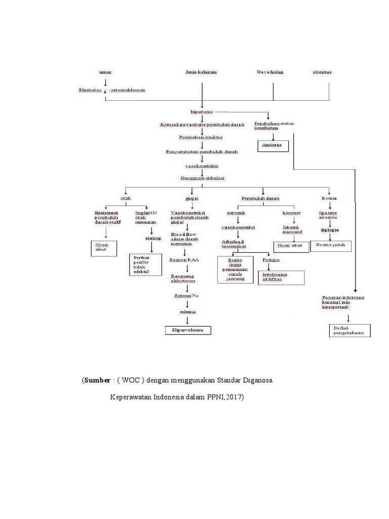 Woc Hipertensi | PDF