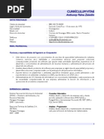 Ejemplo de CV Documentado | PDF | Ciencias de la Computación | Computadoras personales