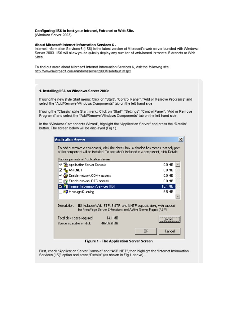 IIS6 Setup Guide for IT Admins | PDF | Internet Information Services | Active Server Pages