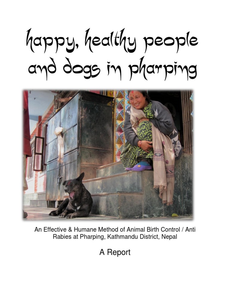 Report On First CNVR Programme | PDF | Rabies | Dogs