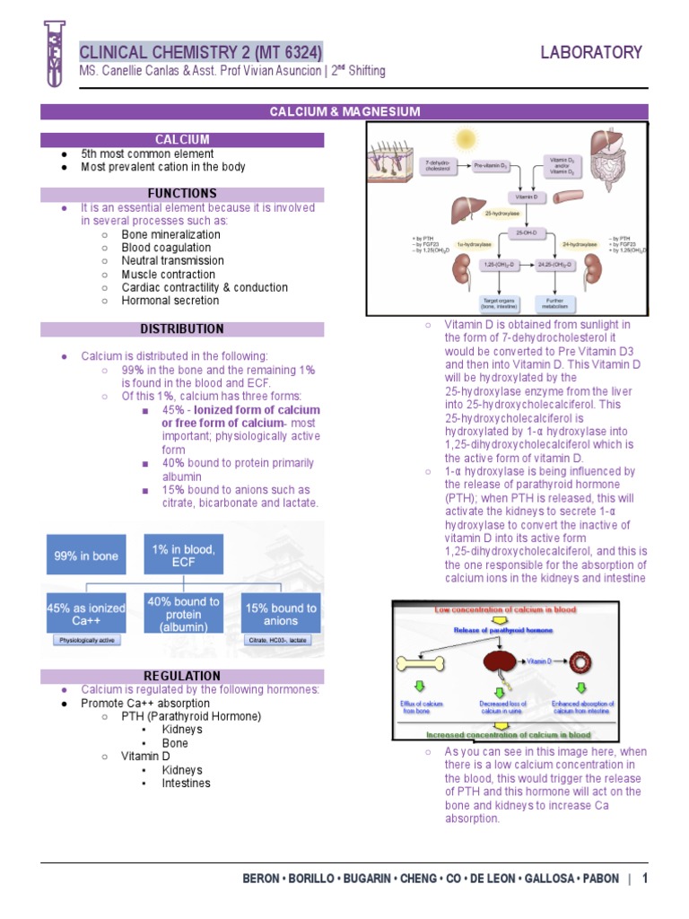 (CC Lab) Calcium & Magnesium | PDF | Calcium In Biology | Calcium