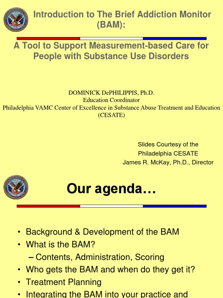 Introduction To The Brief Addiction Monitor (BAM) : A Tool To Support ...