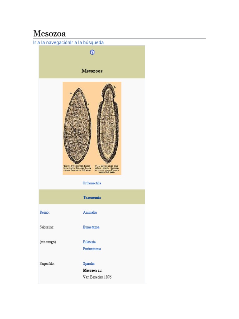 Mesozoa | PDF | Taxa | Organismos