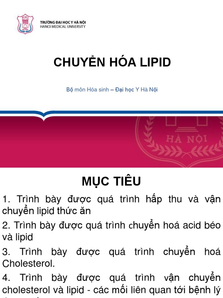LEC 14.S1.4 - CH LIPID Final | PDF