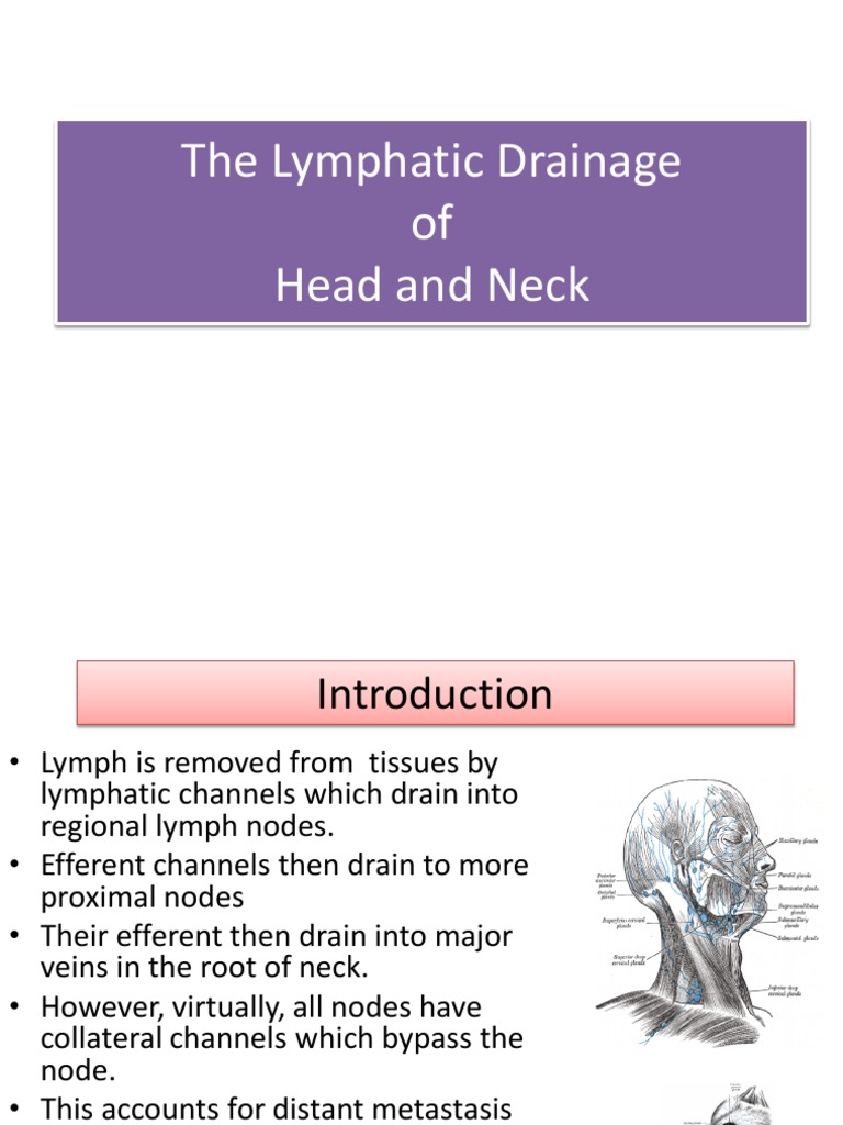 The Lymphatic Drainage of The Head Neck 2011 | PDF | Lymphatic System ...