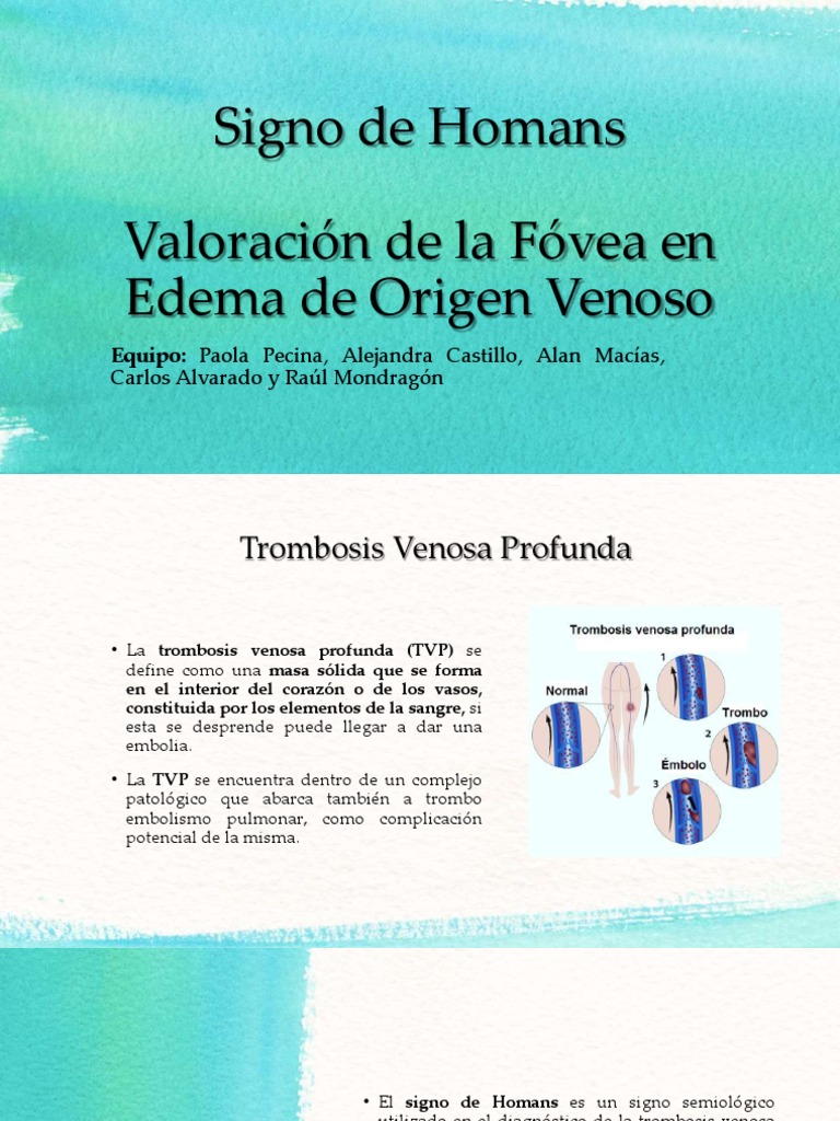 Signodehomans | PDF | Angiología | Rtt