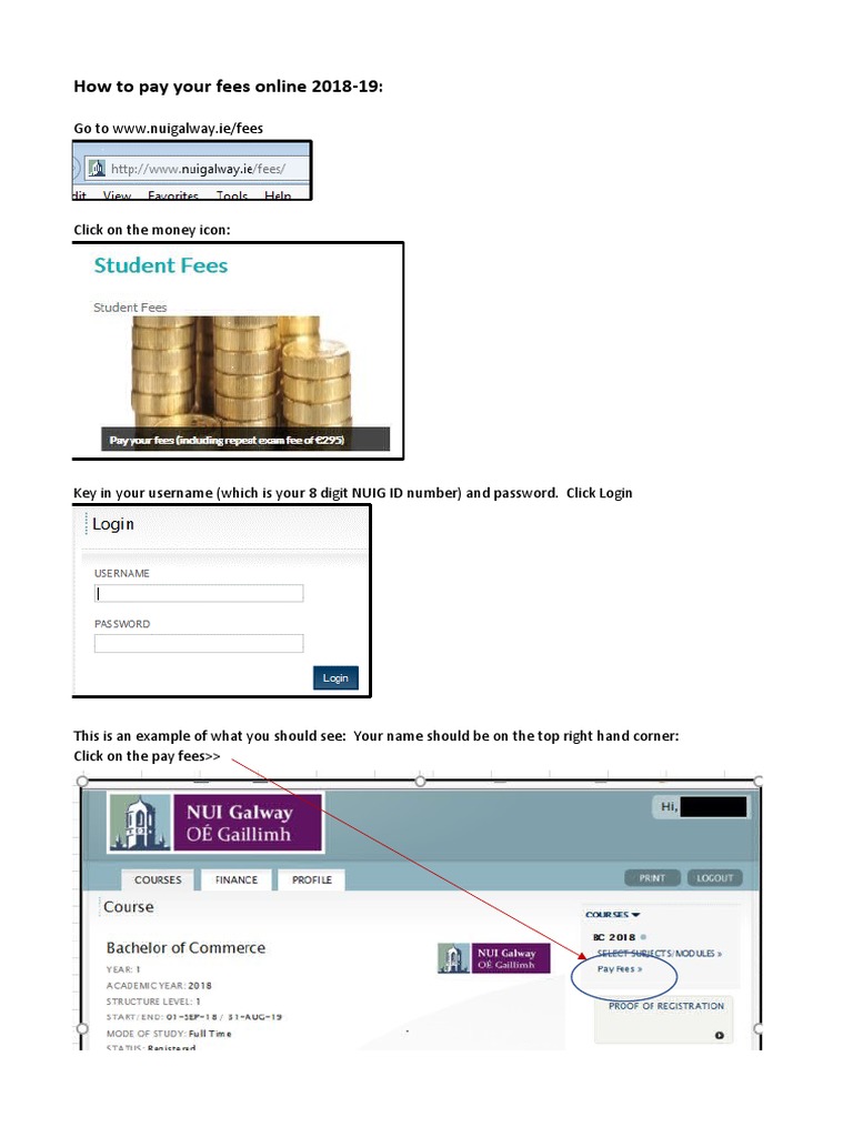 How To Pay Your Fees Online | PDF