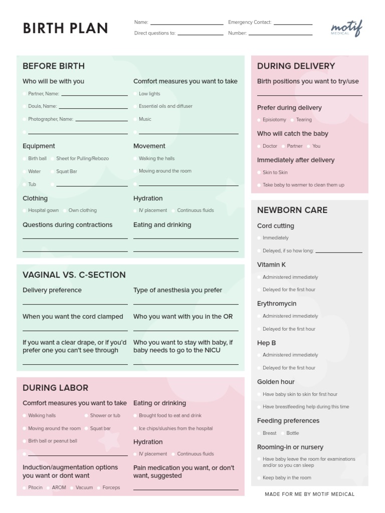 Comprehensive Birth Plan Template PDF | PDF | Childbirth | Human ...