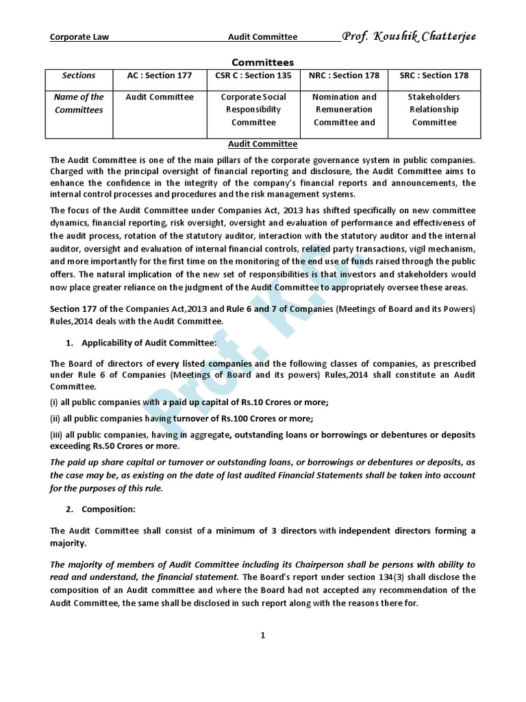 An Overview of the Audit Committee and its Functions Under the ...