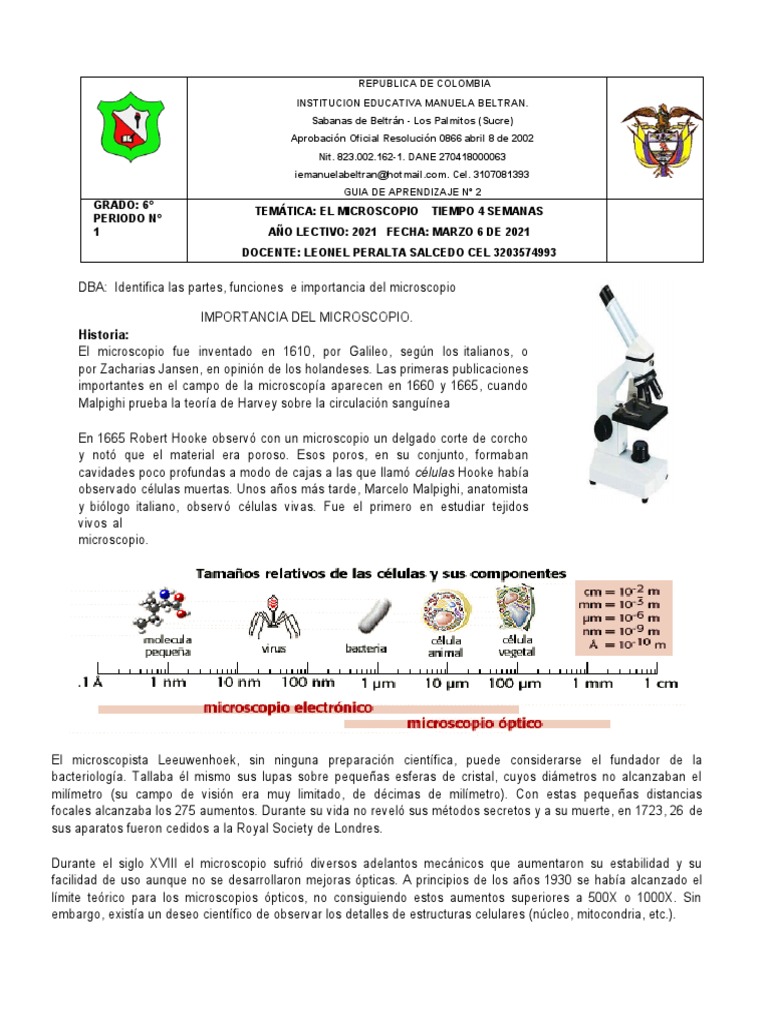 Guia #2 de Sexto 2021 | PDF | Microscopio | Microscopía