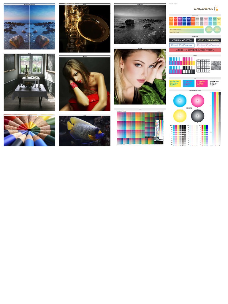 Caldera Test Print Technical V2.1 | PDF