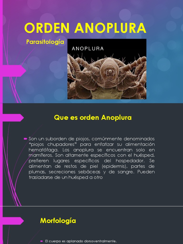 Orden Anoplura | PDF | Enfermedades animales | Bienestar
