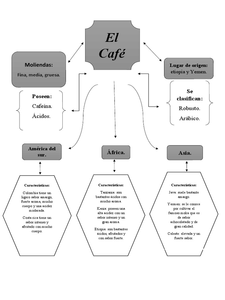 Mapa Mental Del Cafe | PDF