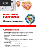 Artículo Original - Eficacia Maniobra Ritgen | PDF | Salud maternal | Parto