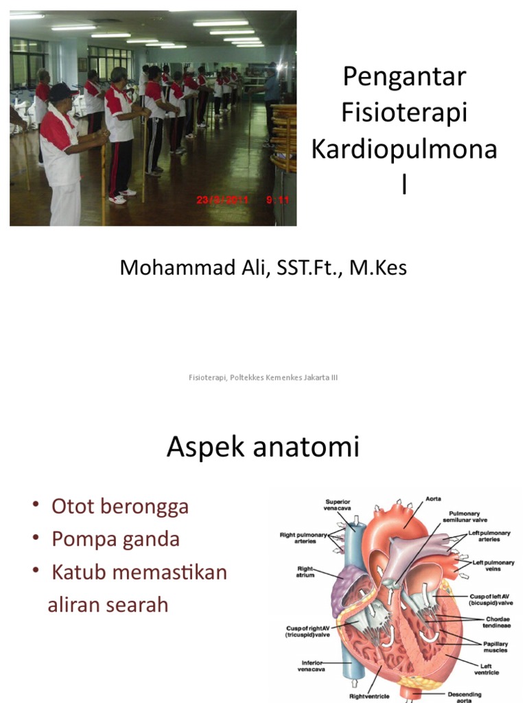 Pengantar Fisioterapi Kardiovaskuler - 2020 | PDF | Kesehatan Holistik | Sains & Matematika