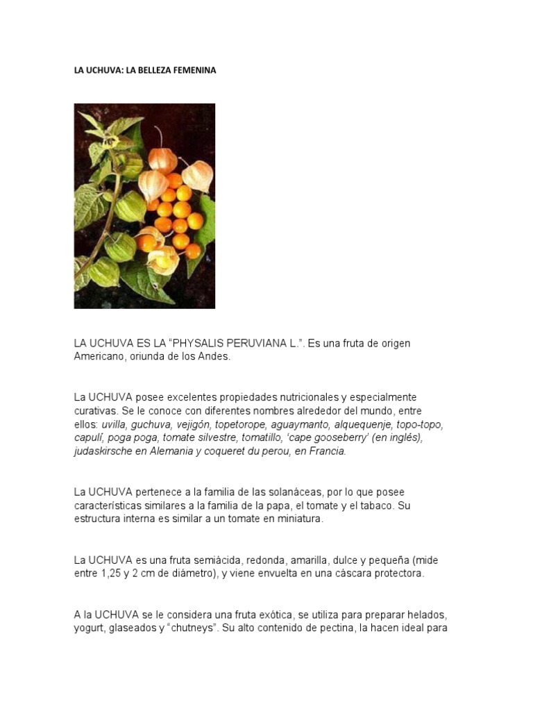 La Uchua | PDF | Bienestar | Medicina