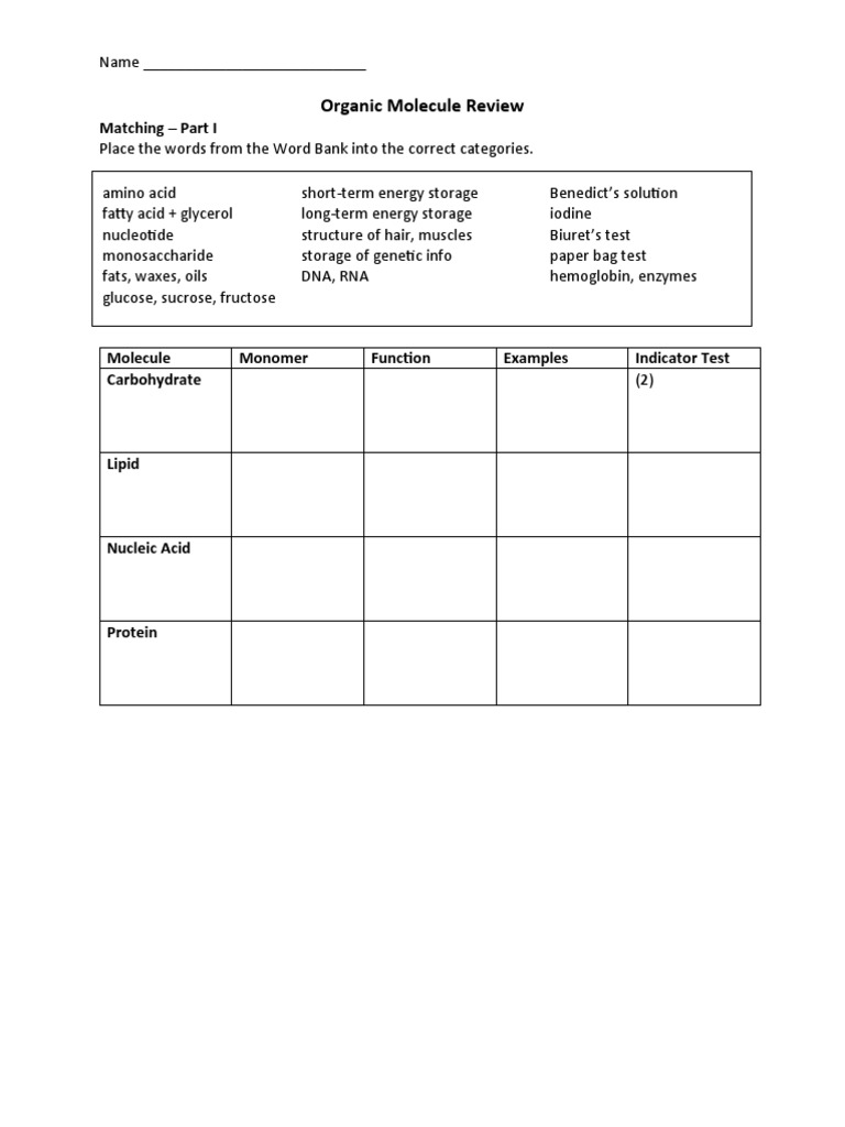 Biomolecules Worksheet-1 | PDF | Carbohydrates | Nucleic Acids