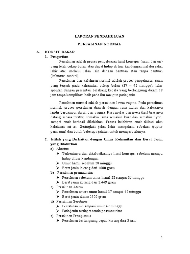 LP Persalinan Normal | PDF