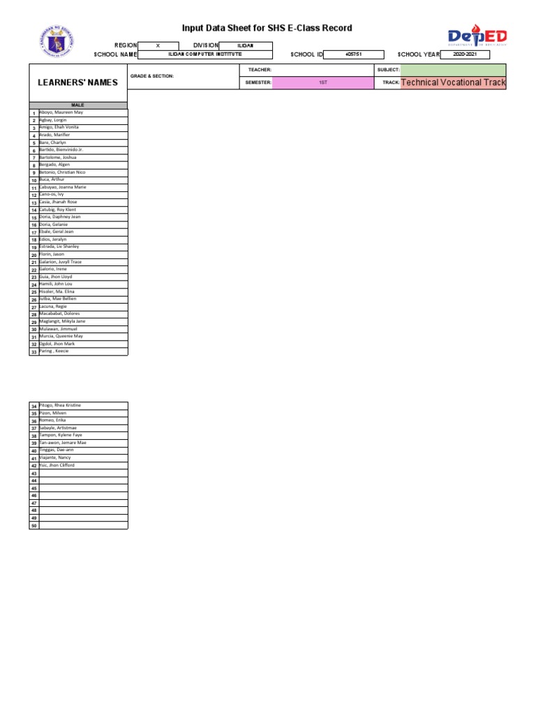 Input Data Sheet For SHS E-Class Record: Learners' Names | PDF