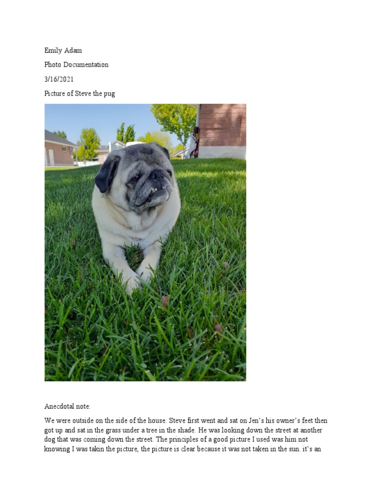 Photo Documentation | PDF
