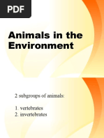 Example of A Detailed Lesson Plan | PDF | Amphibian | Reptile