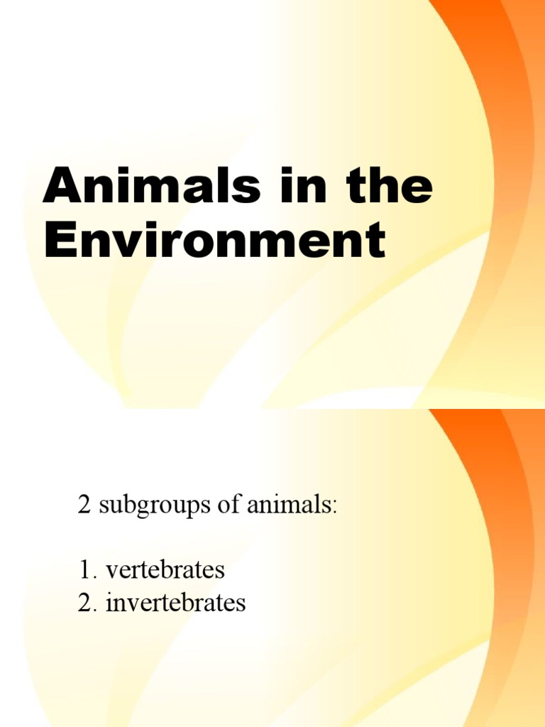 Animals in The Environment | PDF | Vertebrates | Mammals