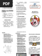 Procedimiento LOTO: Bloqueo y Etiquetado | PDF