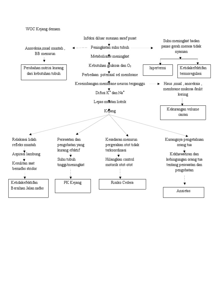WOC Kejang Demam | PDF