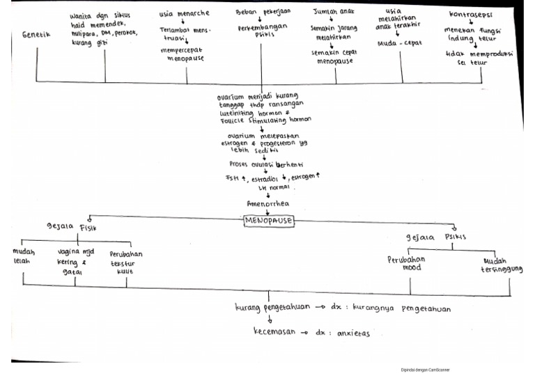 8. PATHWAY MENOPAUSE